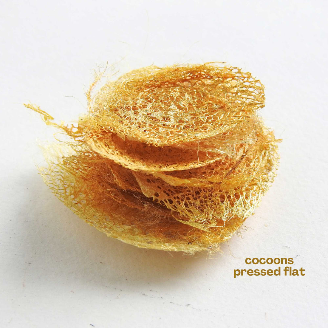 Cricula Cocoons - Golden Lacy Natural | Stitching Jewelry Felting Craft ...