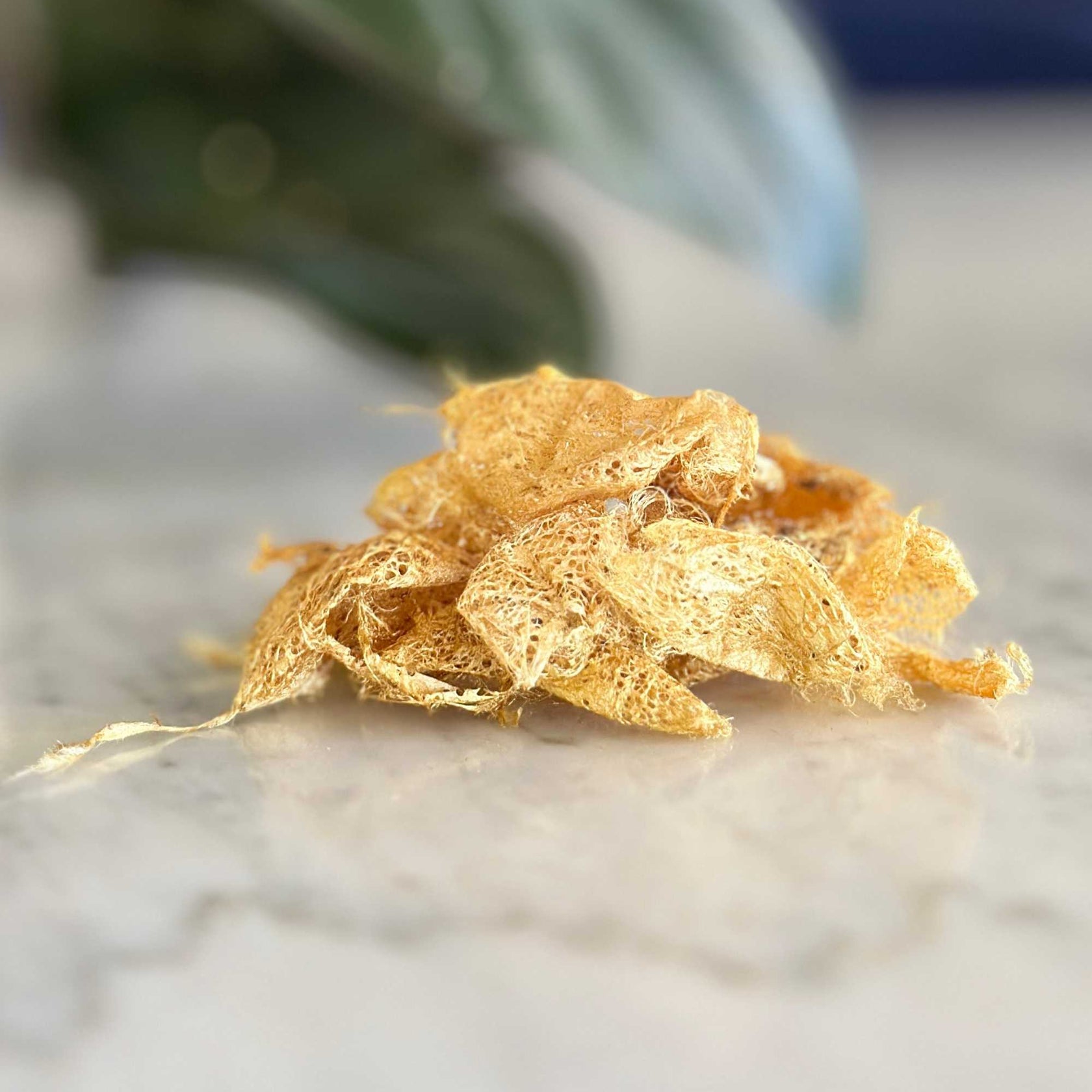 silk cocoons – ORA Fabulous Fibres